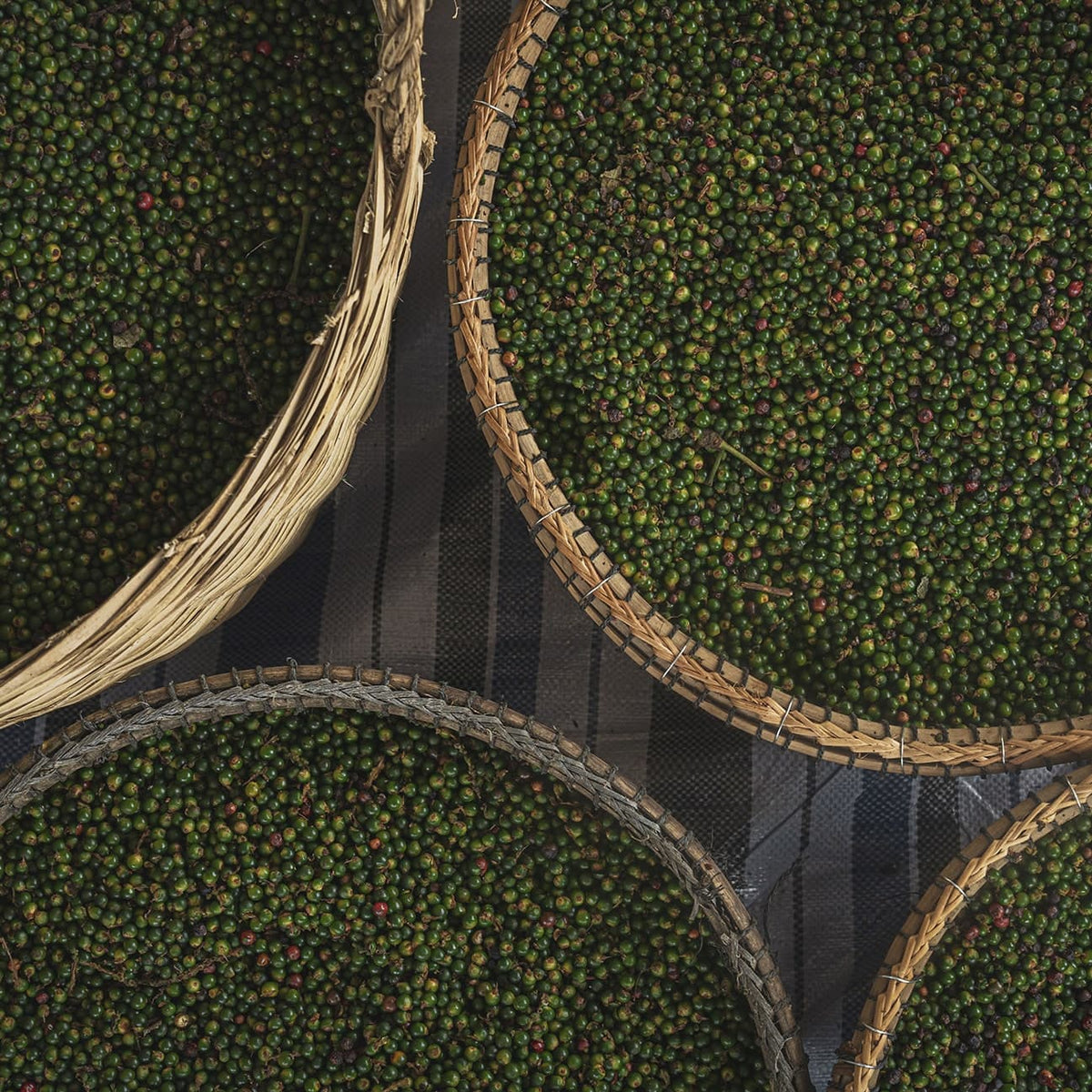 MAWSIM PEPPER BLACK | MAWSIM CRAFTED GIN ＆ PEPPER | ONLINE SHOP