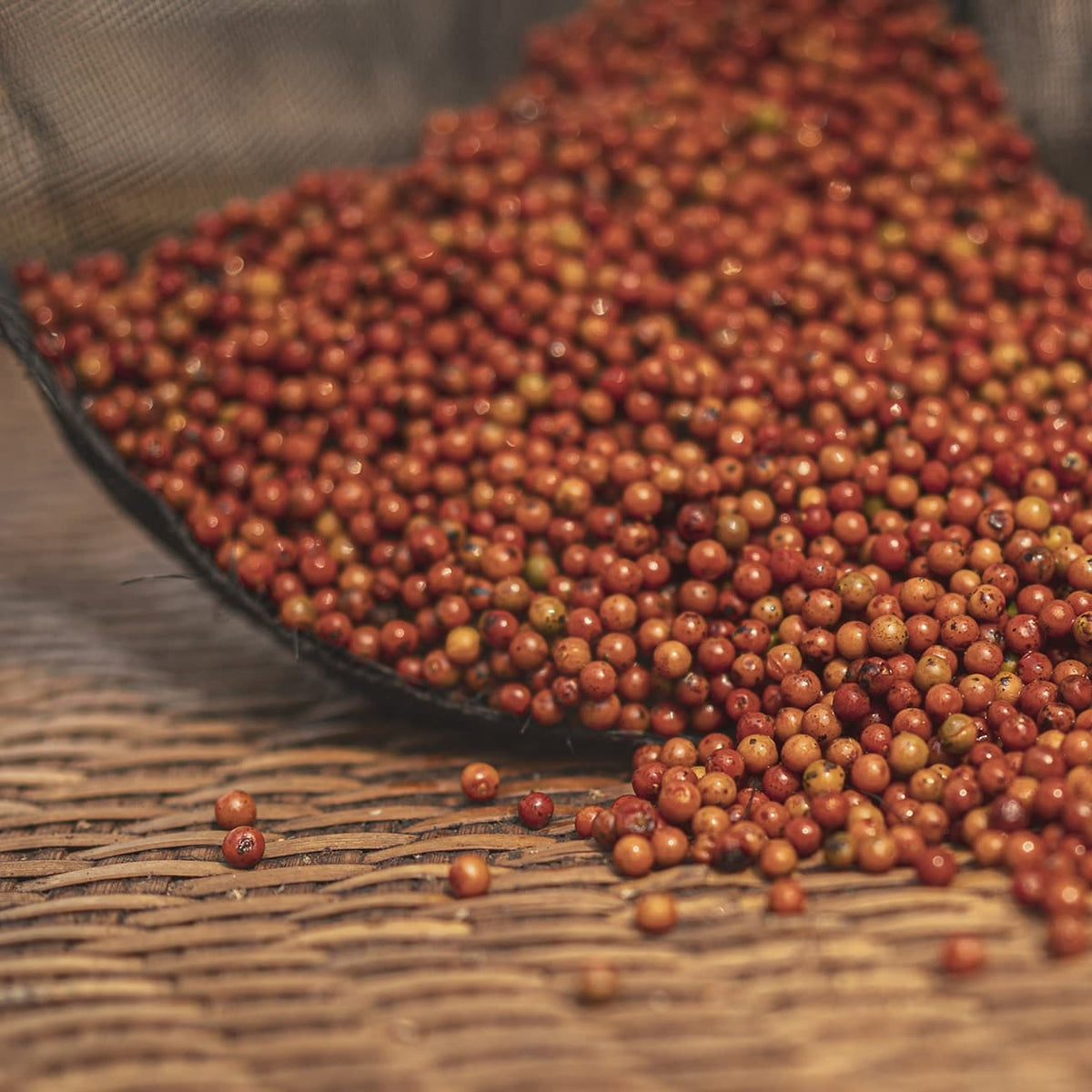 MAWSIM PEPPER RED | MAWSIM CRAFTED GIN ＆ PEPPER | ONLINE SHOP